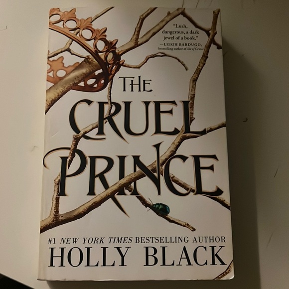 Other | The Cruel Prince By Holly Black | Poshmark